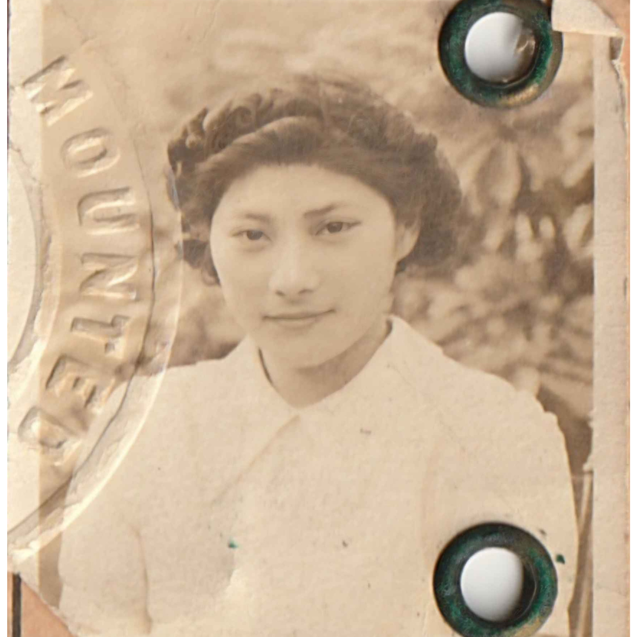 Jornal | Descubra Nikkei