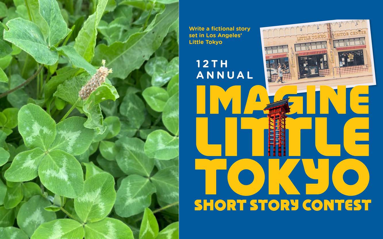 Jornal | Descubra Nikkei