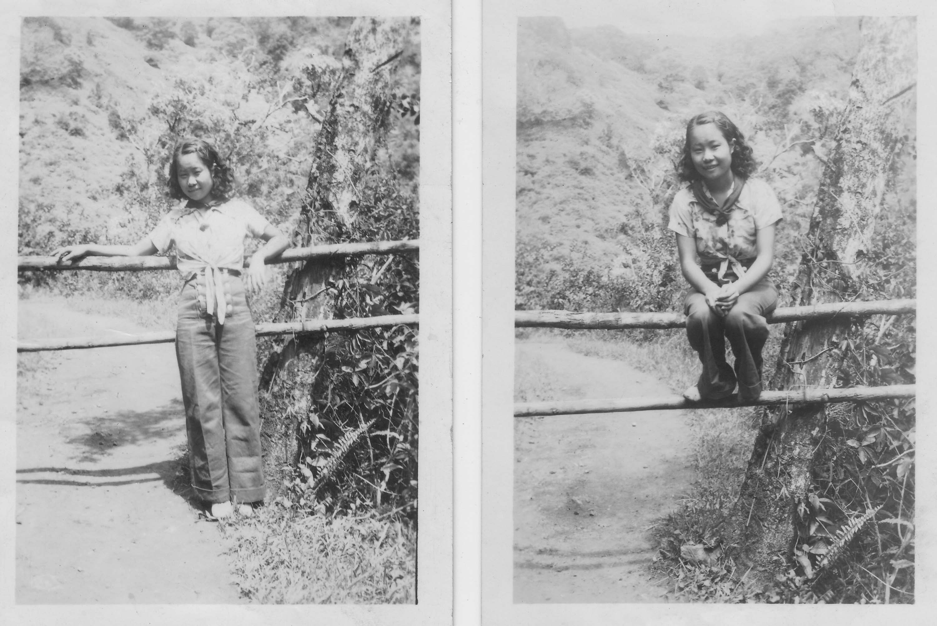 Jornal | Descubra Nikkei