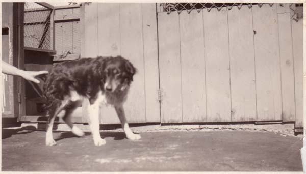 Journal | Discover Nikkei