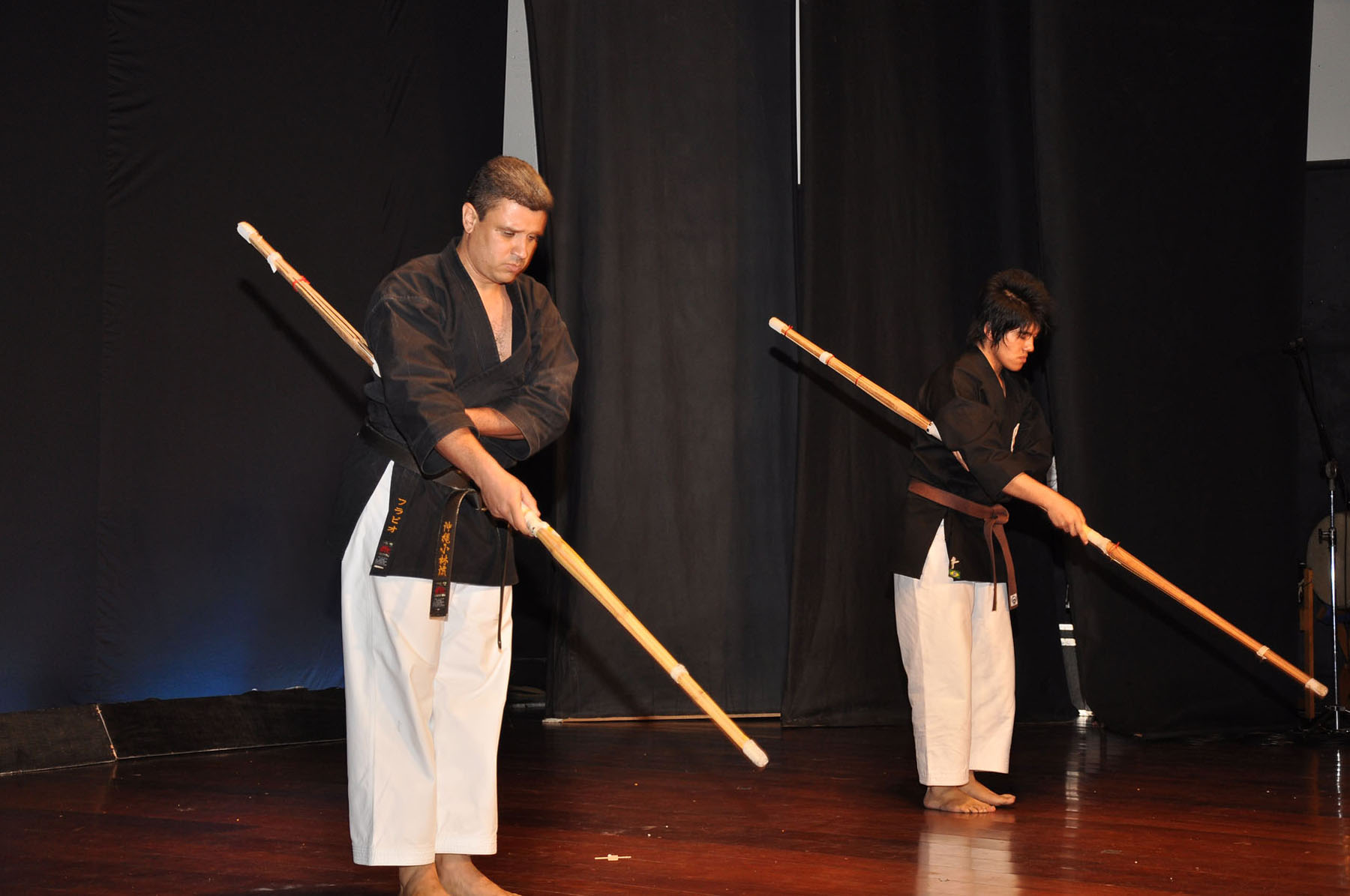 Journal | Discover Nikkei