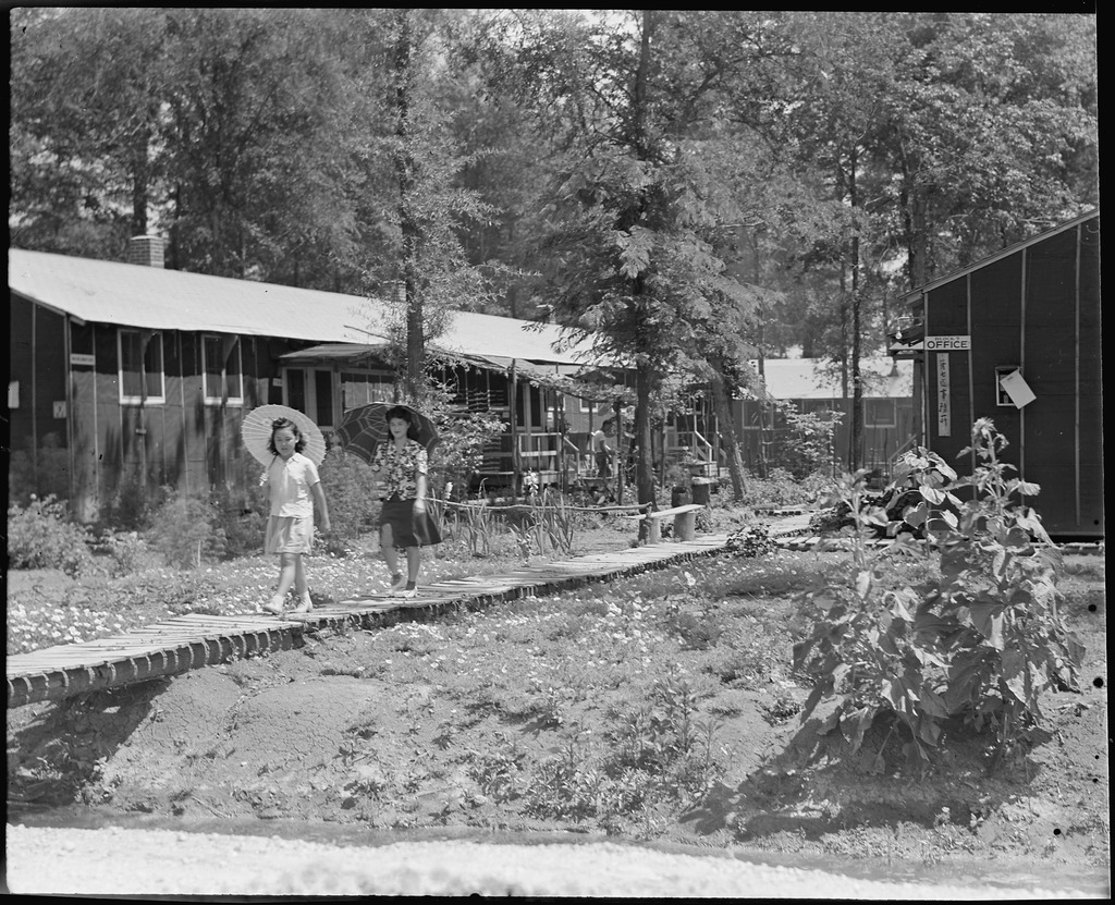 Journal | Discover Nikkei