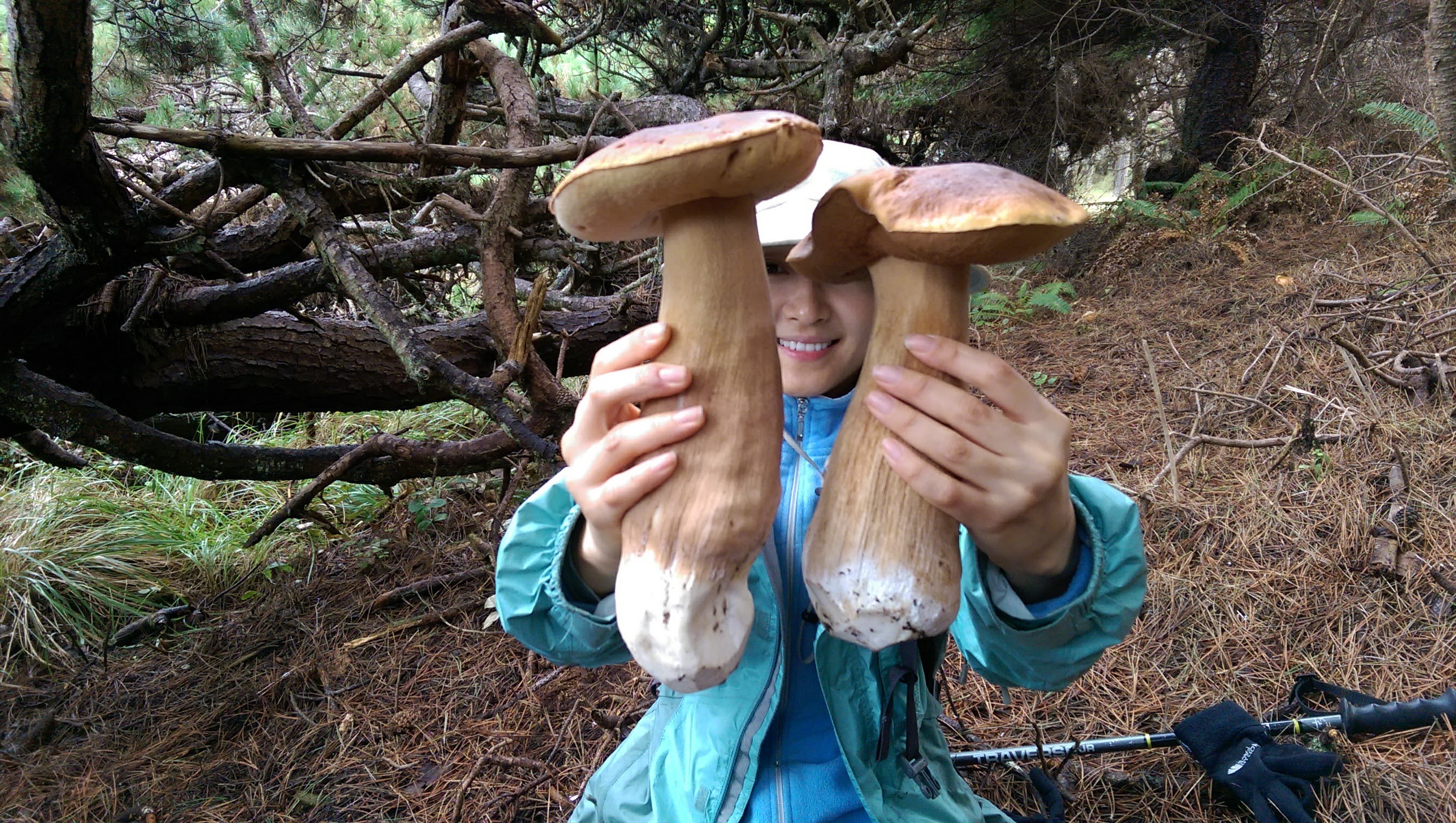 Journal | Discover Nikkei