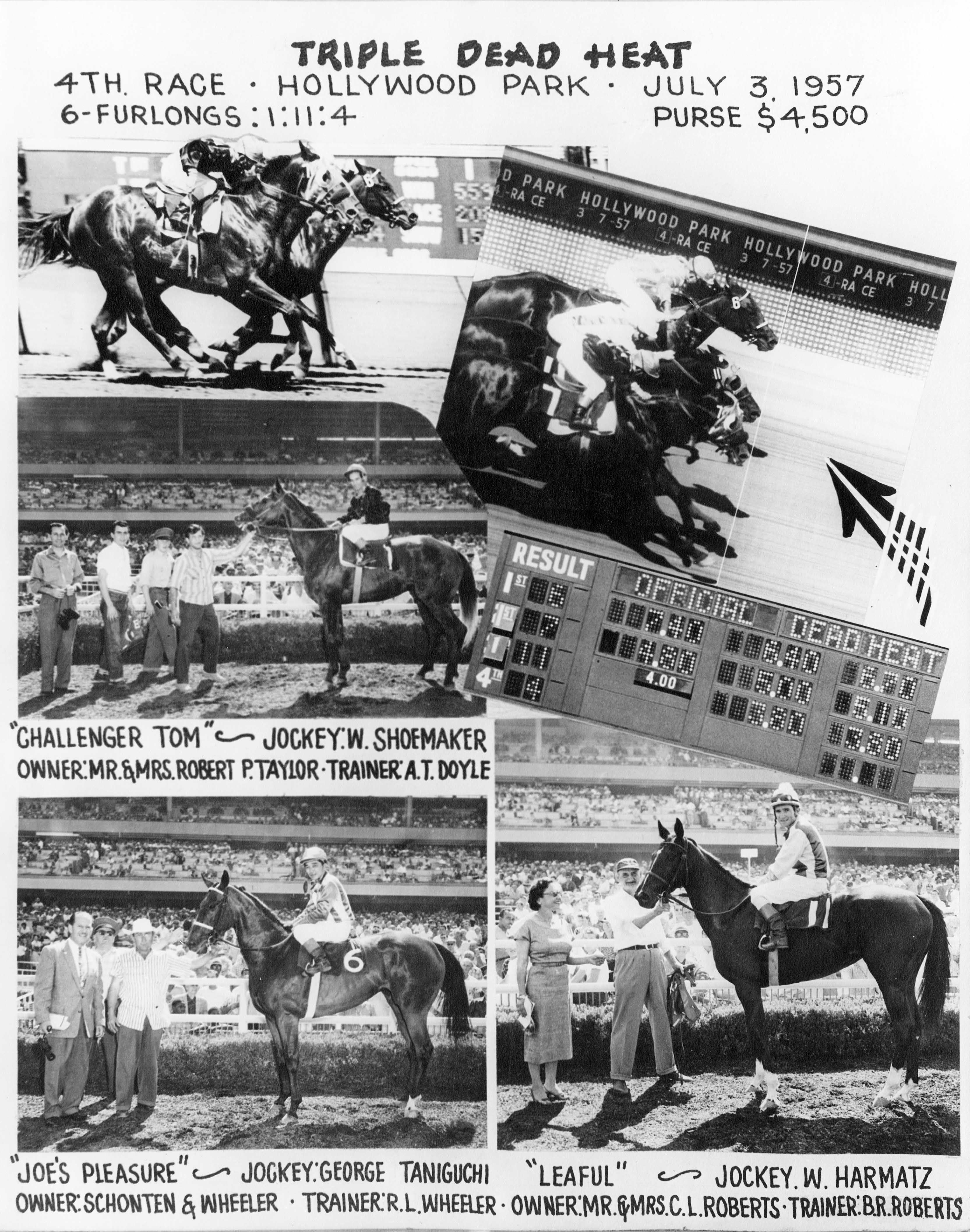 Journal | Discover Nikkei